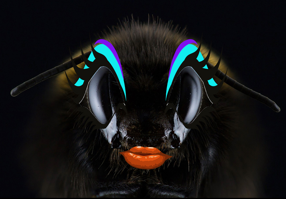 Uh Oh! Scientists Warn Of Fierce New Drag Queen Bees Here To Slay The ...